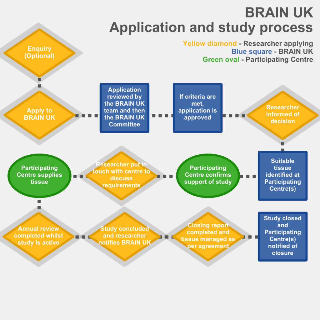 Application and study process – BRAIN UK
